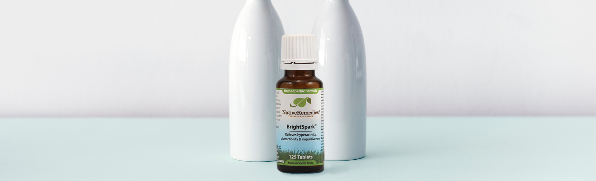 BrightSpark Review (UPDATE: 2019) - Things you need to know.