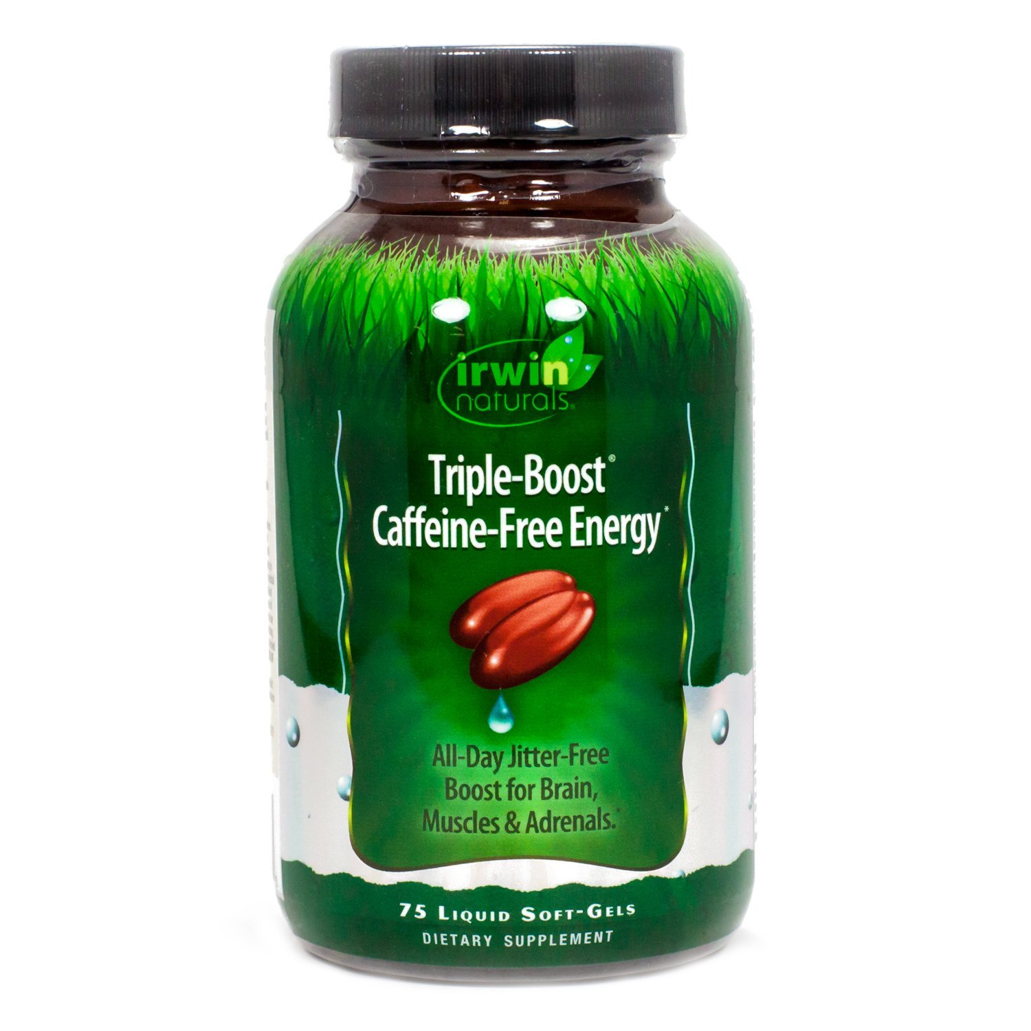 Triple Boost Review (UPDATE: 2019) | BrainReference.com